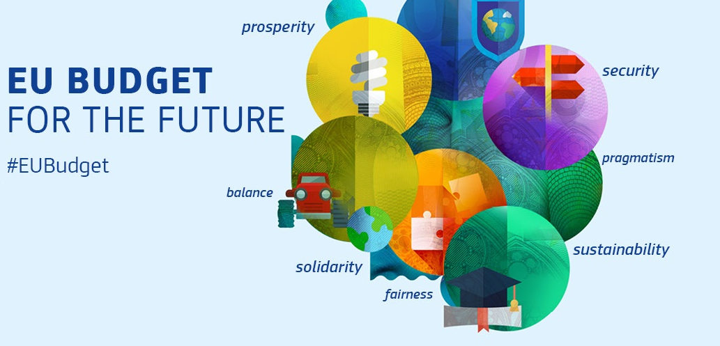 Importance Of Democracy And Democracy Support In The Eu Multi Annual Financial Framework